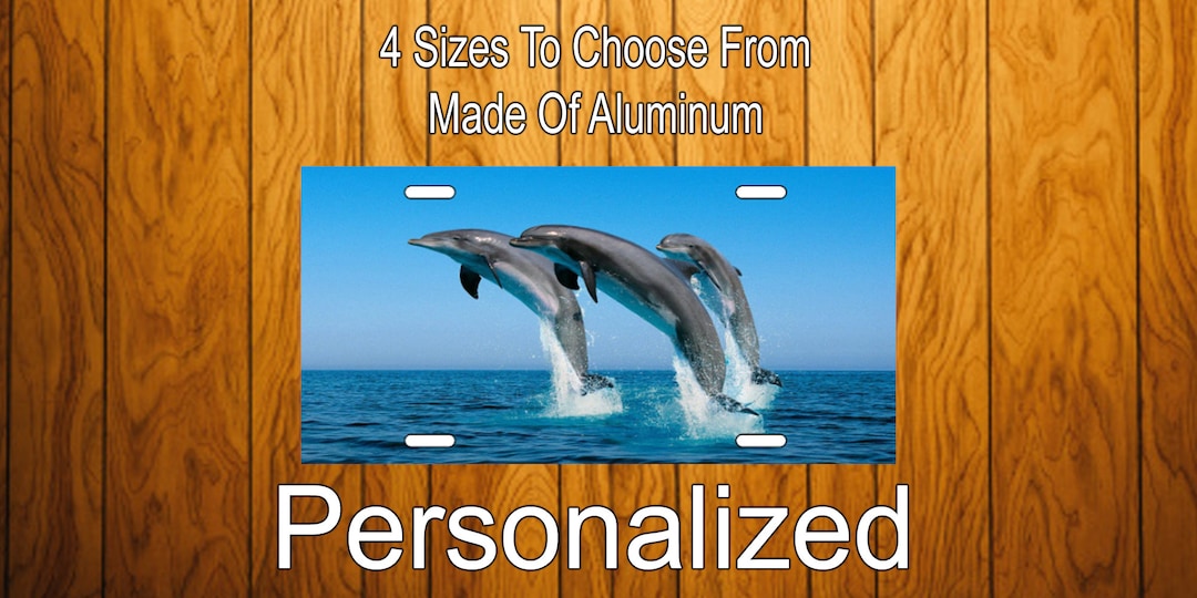 Personalized Dolphin License Plate, Underwater Ocean License Plate ...