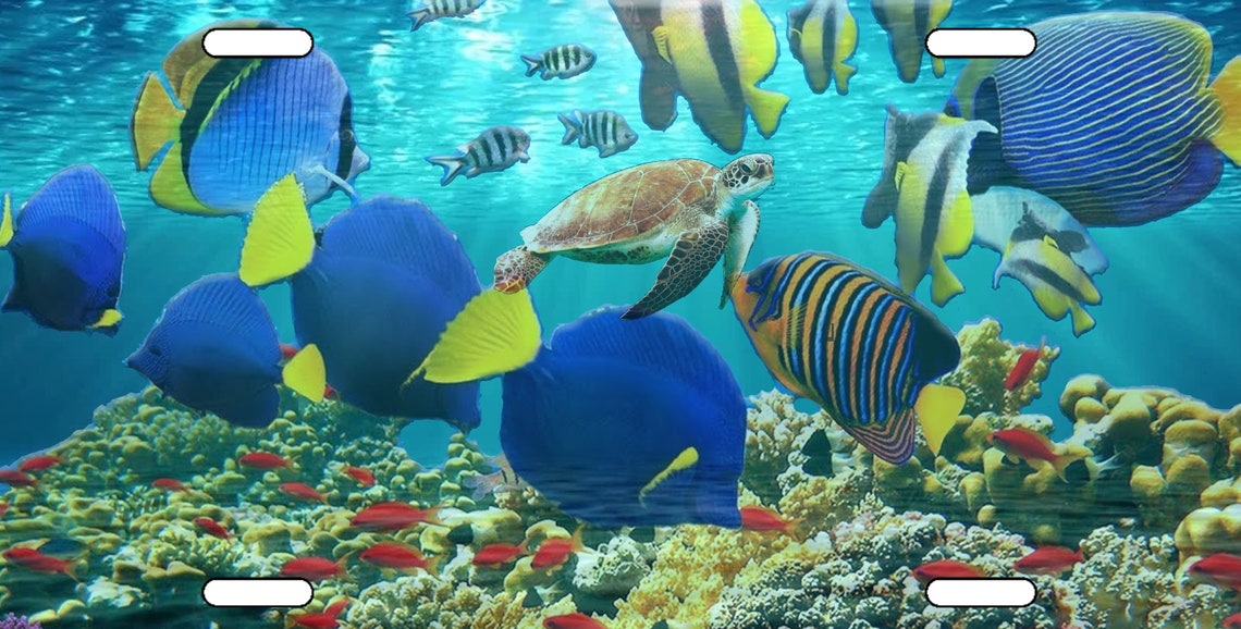Sea Turtle License Plate Underwater License Plate Aquarium - Etsy
