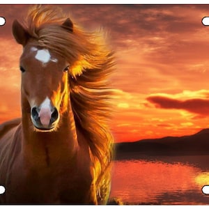 Horse License Plate, Stallion License Plate Horse Farm License Plate ...