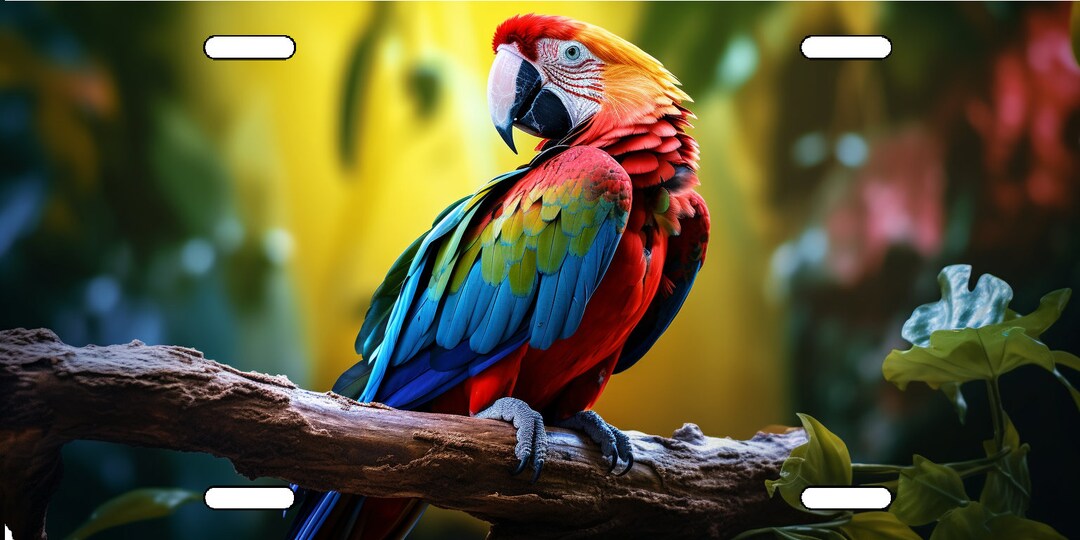 Macaw Parrot License Plate | Bicycle License Plate | Golf Cart ...