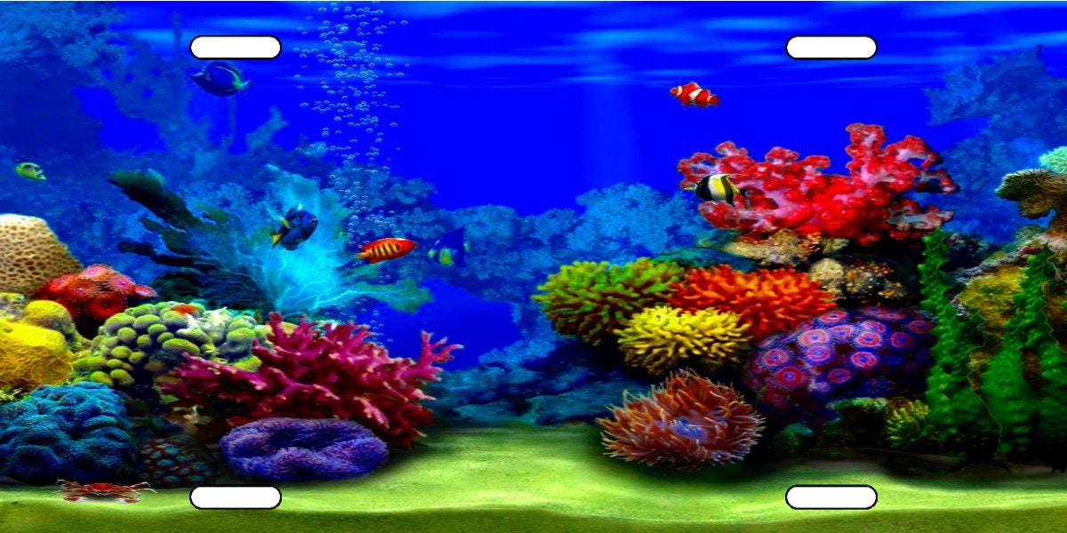 Underwater Aquarium License Plate, Under the Sea License Plate Finding ...