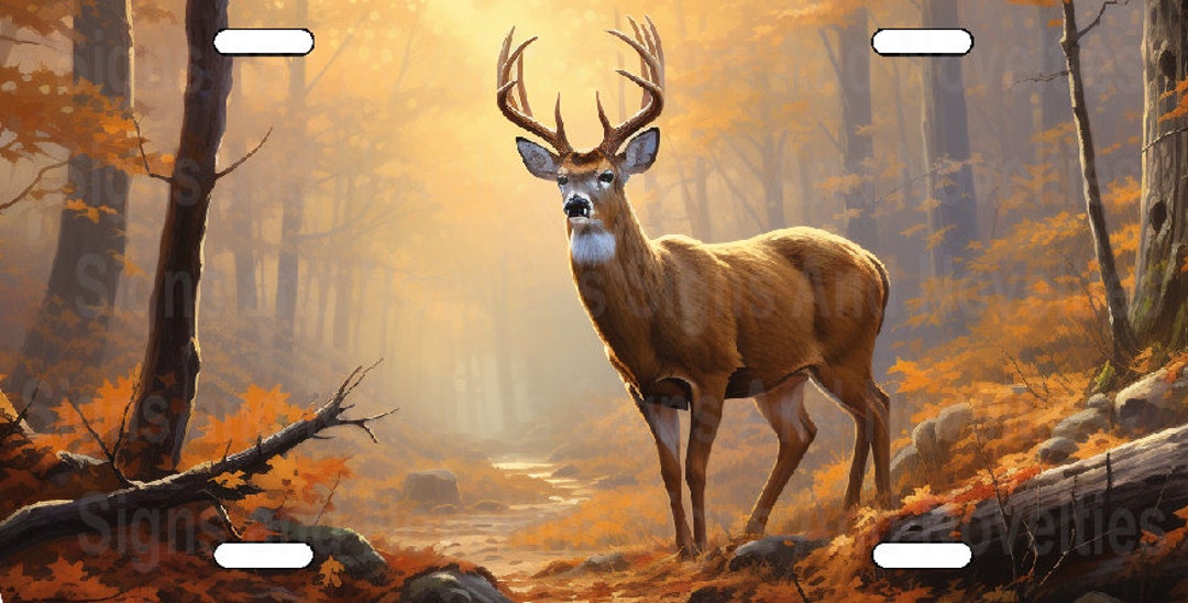 Buck License Plate | Bicycle License Plate | Golfcart | Motorcycle ...