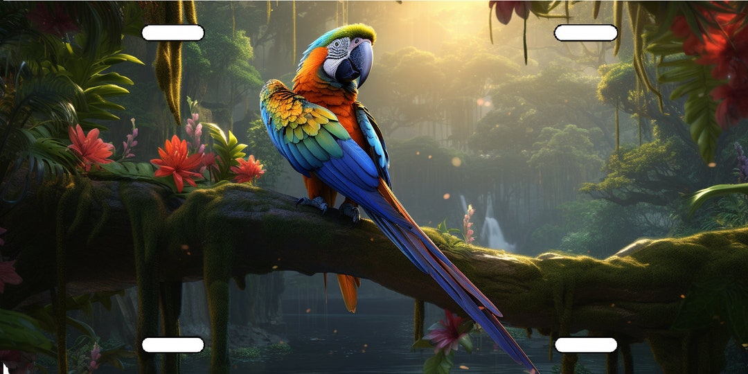 Macaw Parrot License Plate | Bicycle License Plate | Golf Cart ...