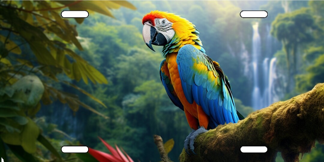 Macaw Parrot License Plate | Bicycle License Plate | Golf Cart ...