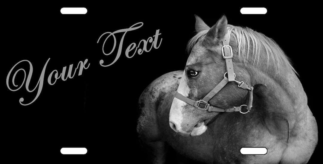 Horse License Plate Custom Personalized Novelty Vanity Car Tag Add Your ...