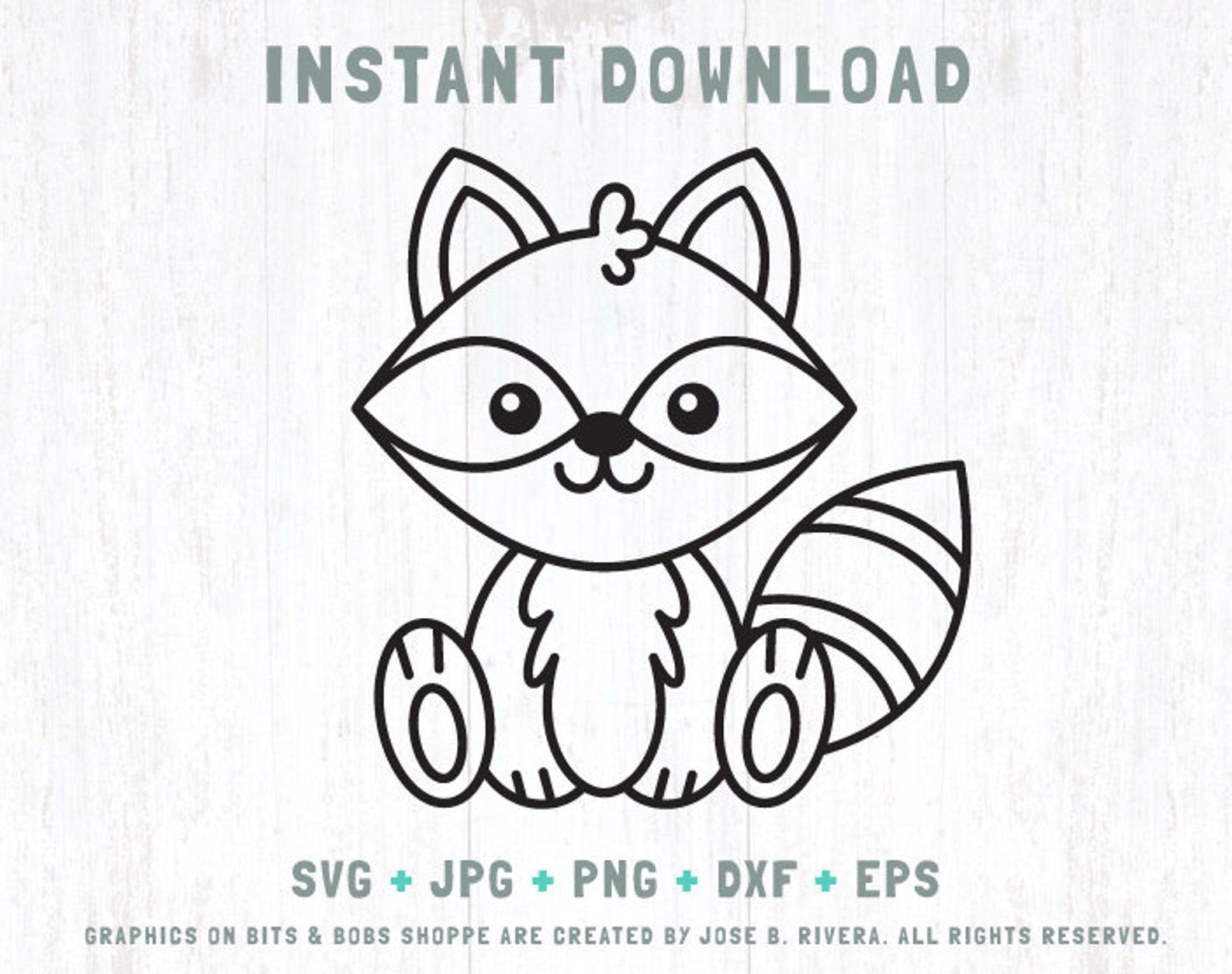 Cute Raccoon Outline Svg Raccoon Outline Svg Baby Raccoon - Etsy