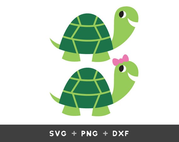 Girl Turtle Clipart