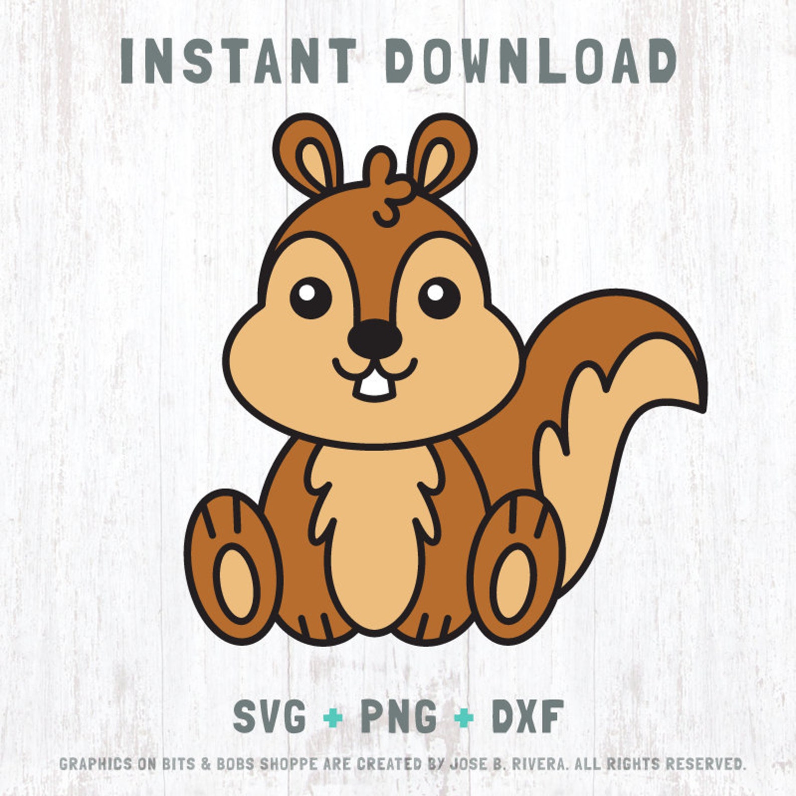 Cute Squirrel Svg, Squirrel Svg, Squirrel Cut File, Baby Squirrel ...