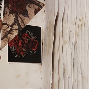 Skull Journal - Etsy