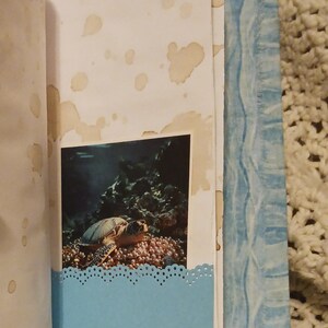 Sea Turtle Journal - Etsy