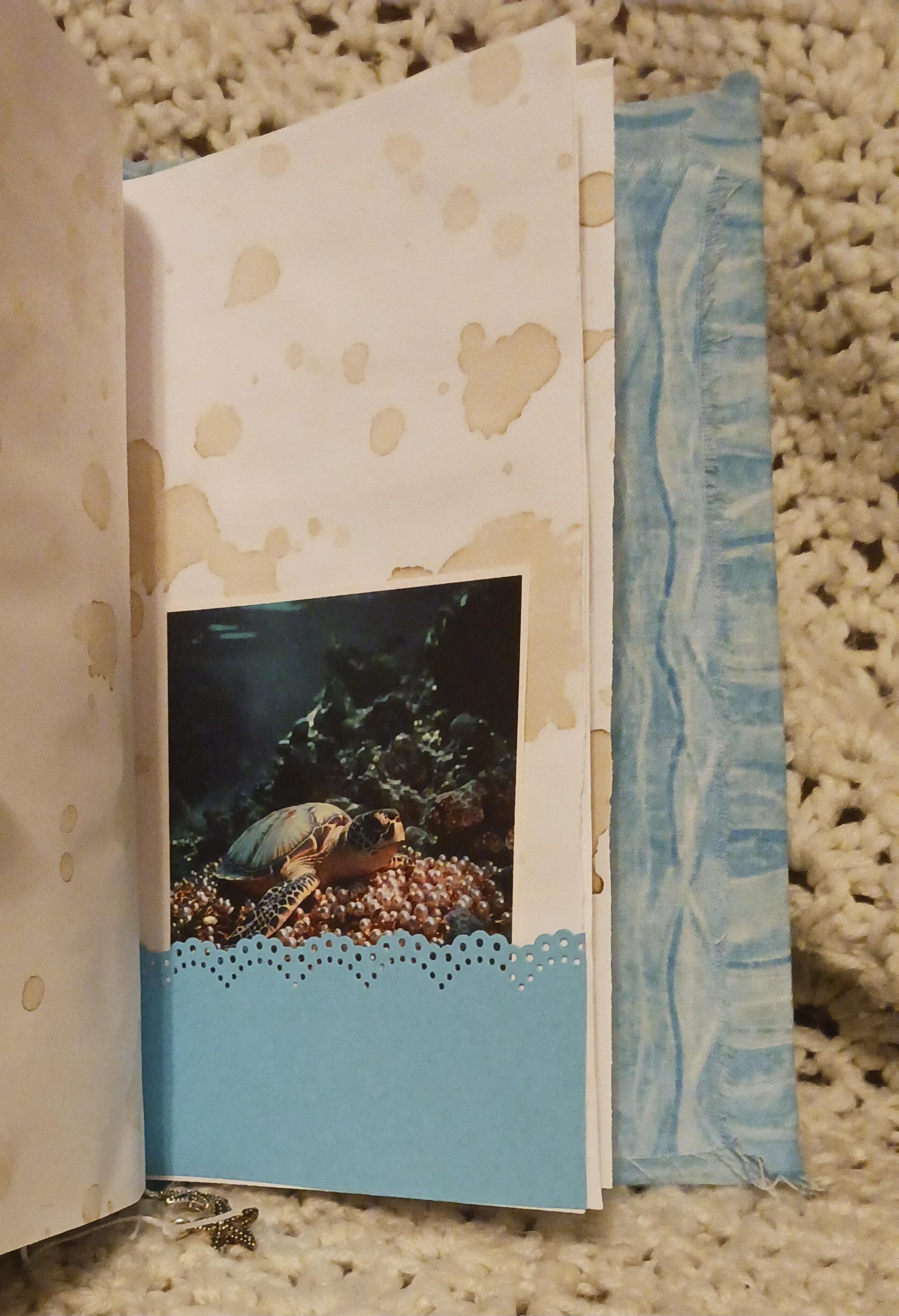 Sea Turtle Journal - Etsy