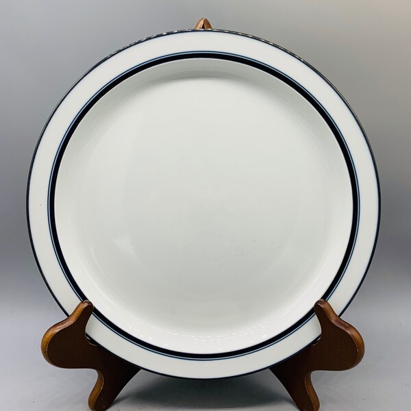 Bistro Blue Rim Plates - Etsy