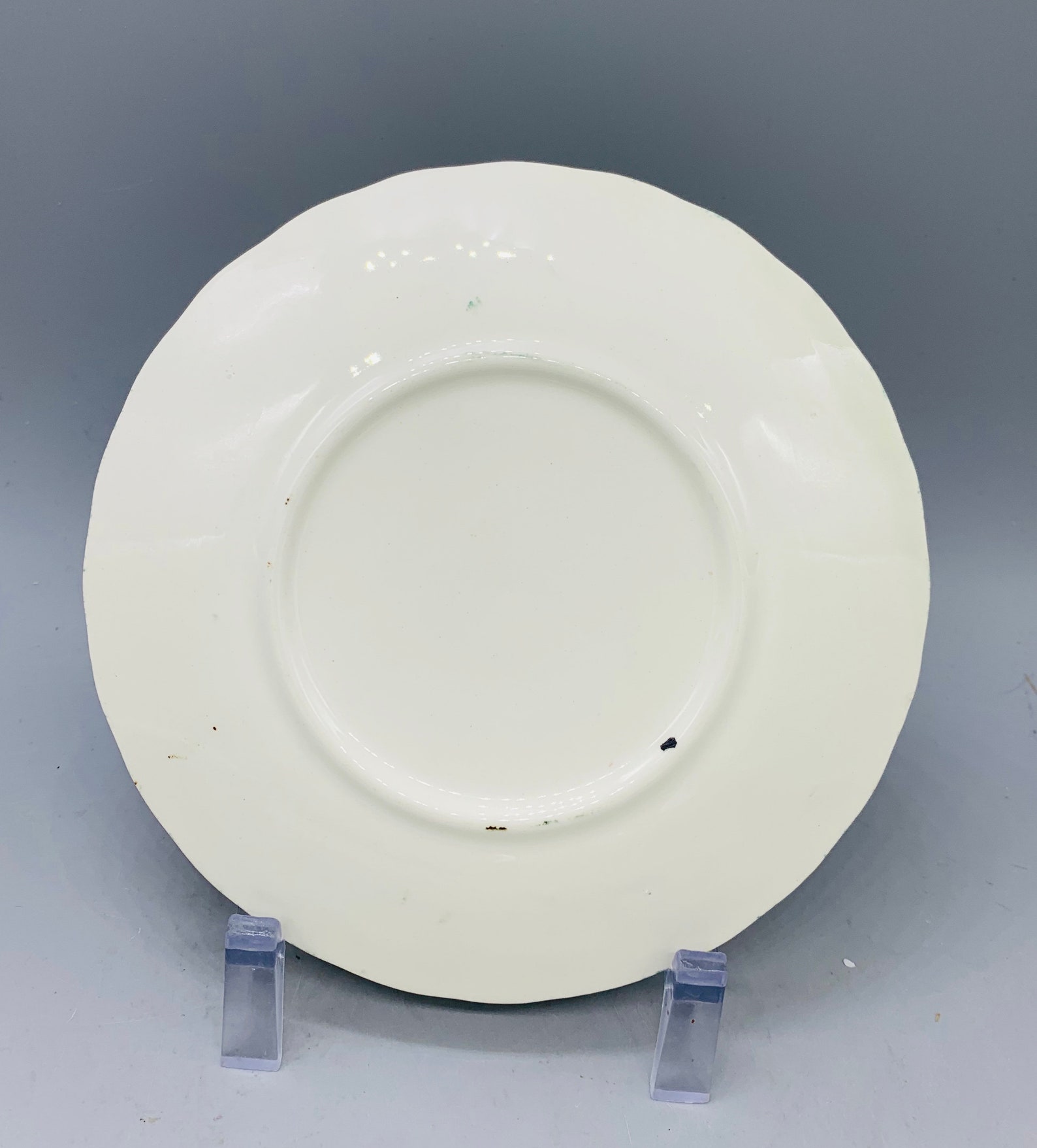 Blue Ridge Sunfire Cynthiana Becky Wild Child Mardi Gras | Etsy