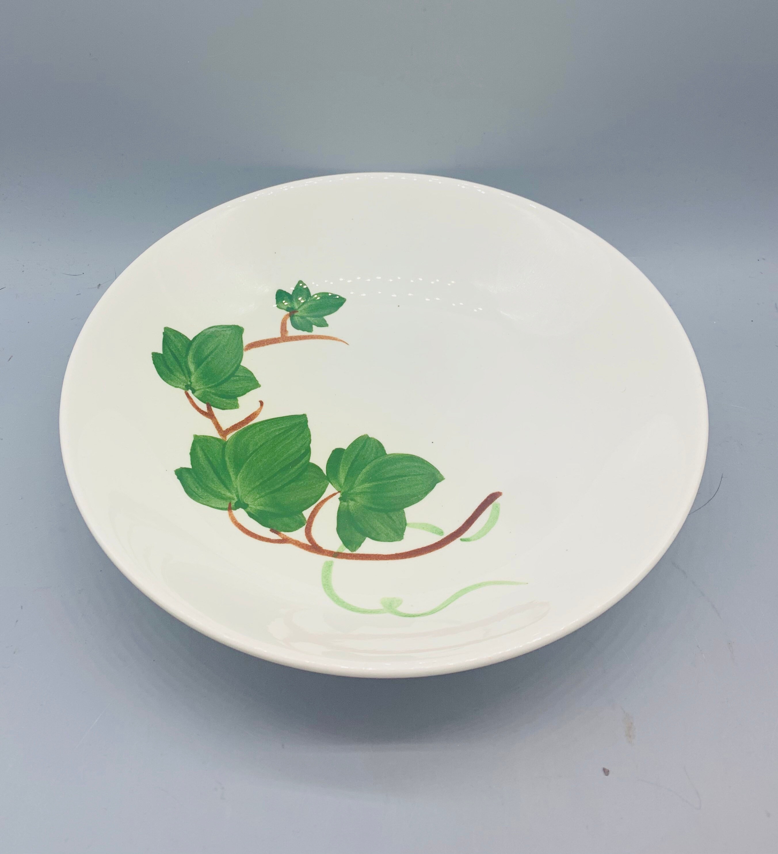 Vintage Joni China Hand Painted Ivy Serving Bowl - Etsy