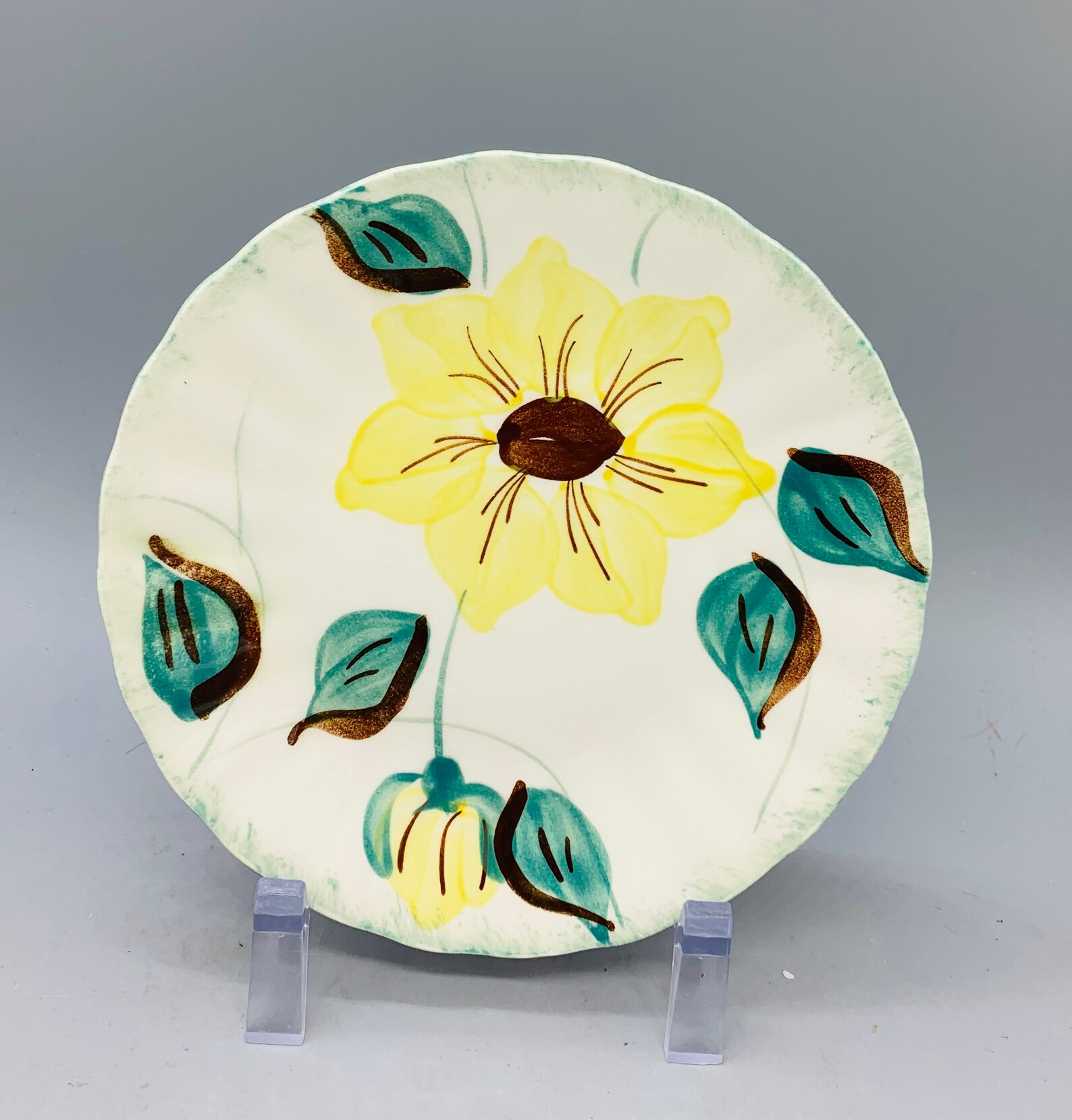 Blue Ridge Sunfire Cynthiana Becky Wild Child Mardi Gras | Etsy