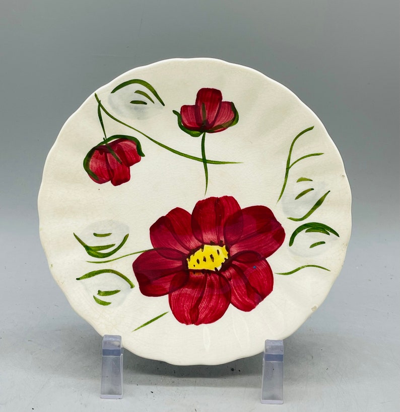 Blue Ridge Sunfire Cynthiana Becky Wild Child Mardi Gras | Etsy