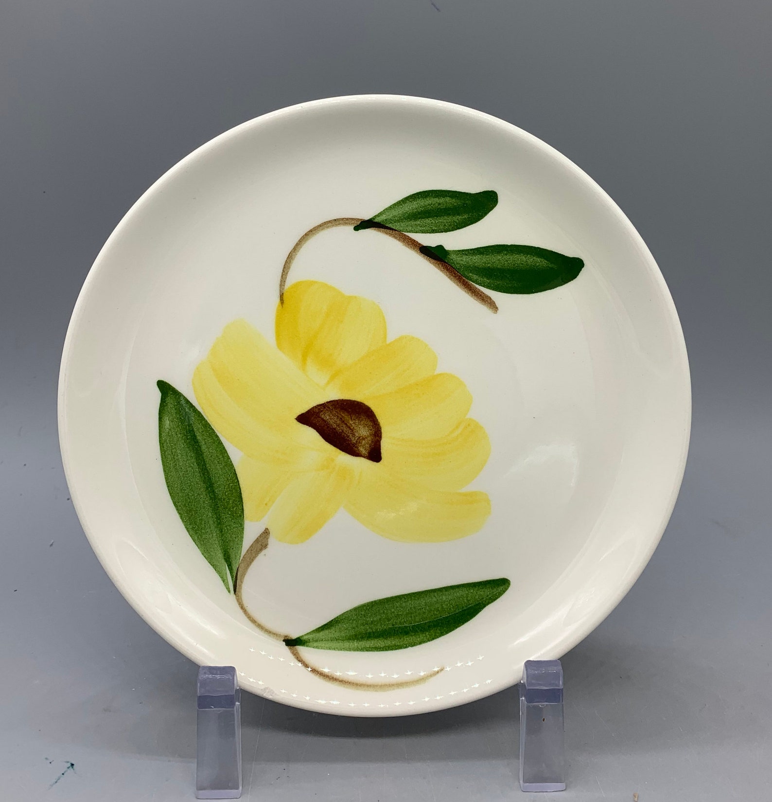Stetson Rio Hand Painted Dinner Plates Bread Plates and - Etsy
