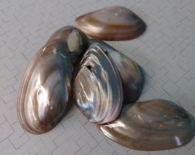 SticksandStones406 - Etsy