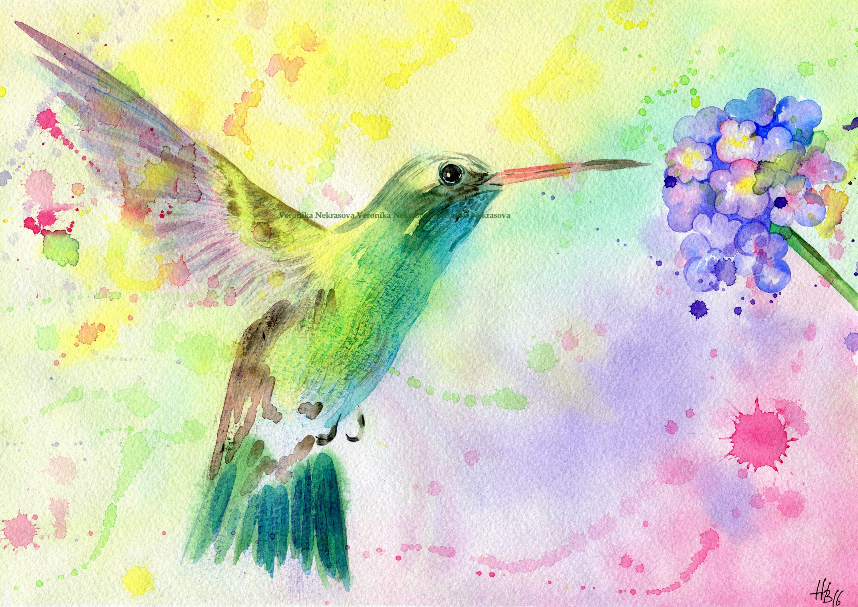 Lámina acuarela de Colibrí Colibrí pintura acuarela arte | Etsy