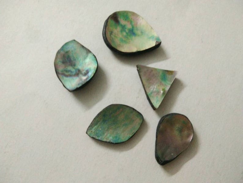 A Abalone Shell 5pieces Lot With the Weight of 73.70 Cts. the Dimension ...