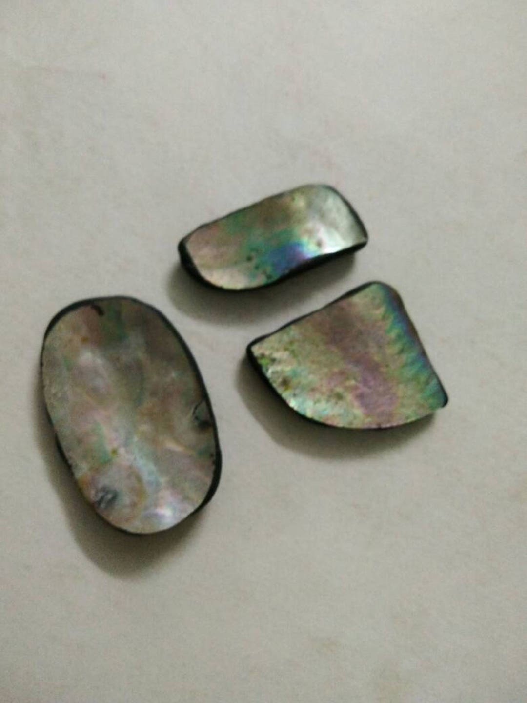A Abalone Shell 3 Pieces Lot With the Weight of 74.00 Cts. the ...