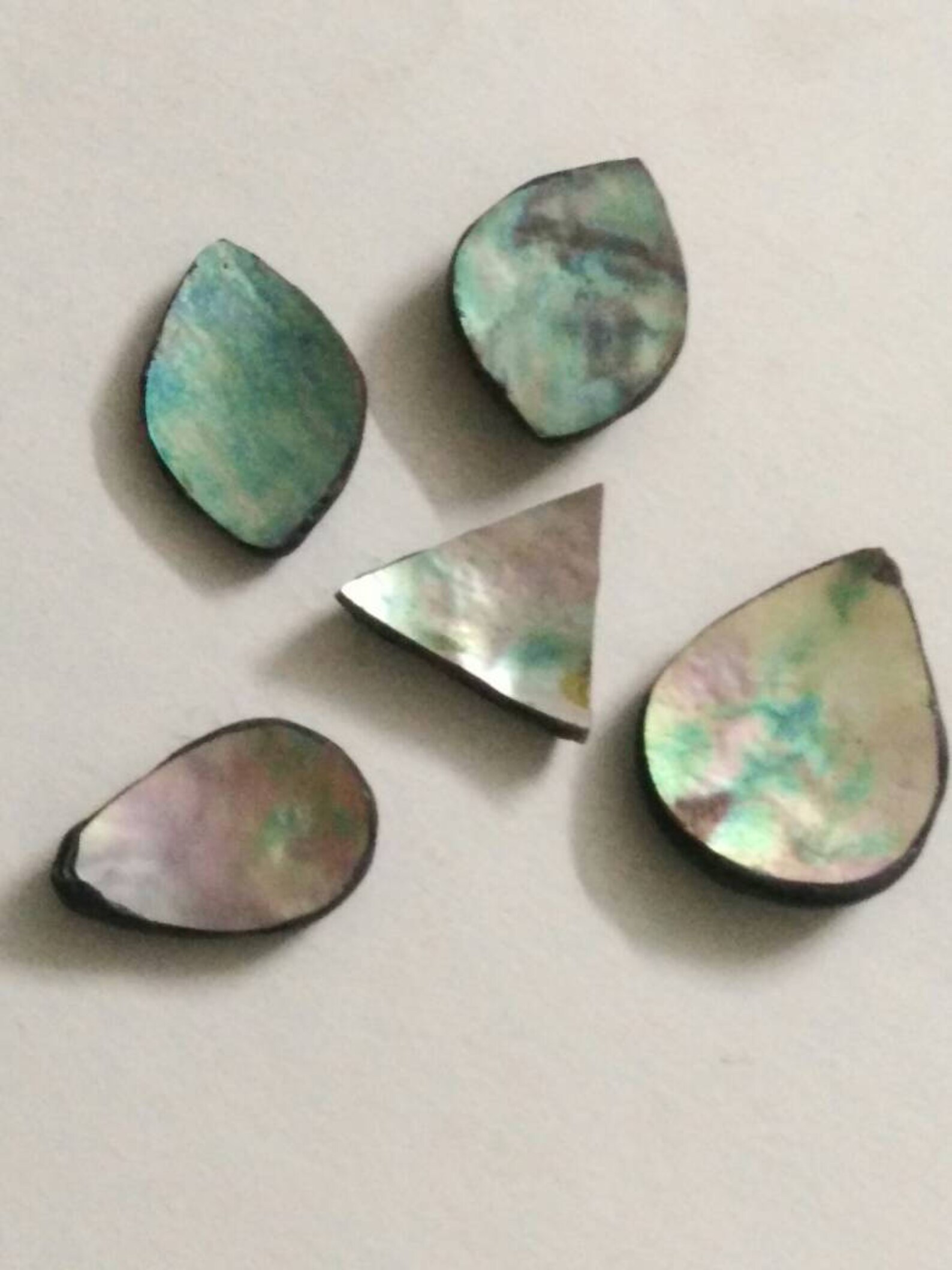 A Abalone Shell 5pieces Lot With the Weight of 73.70 Cts. the Dimension ...