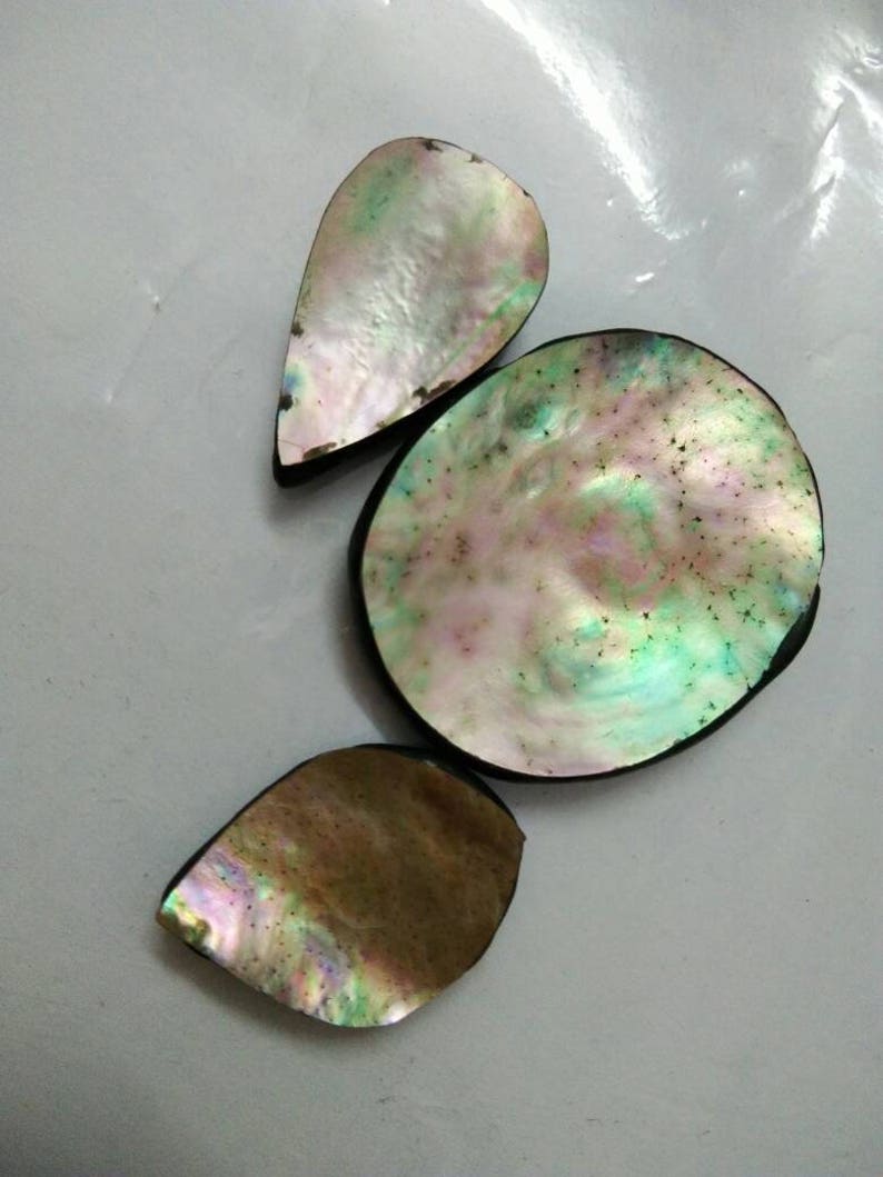 A Abalone Shell 3 Pieces Lot With the Weight of 37.50cts. the Dimension ...
