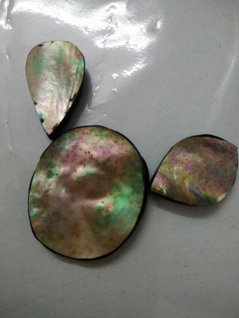 A Abalone Shell 3 Pieces Lot With the Weight of 37.50cts. the Dimension ...