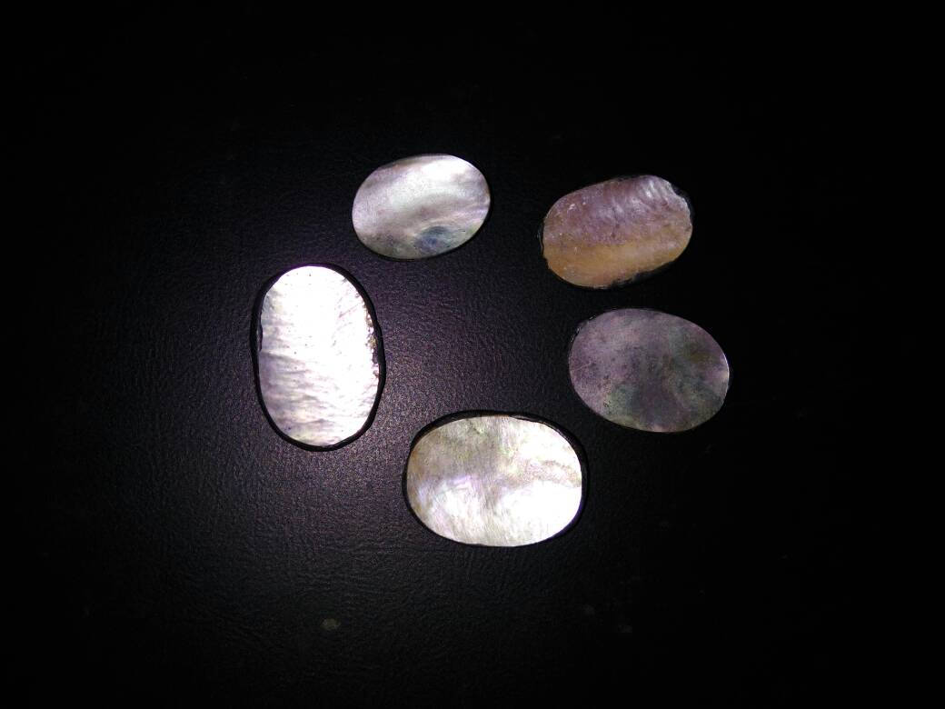 A Abalone Shell 5pieces Lot With the Weight of 98.50 Cts.the Dimension ...