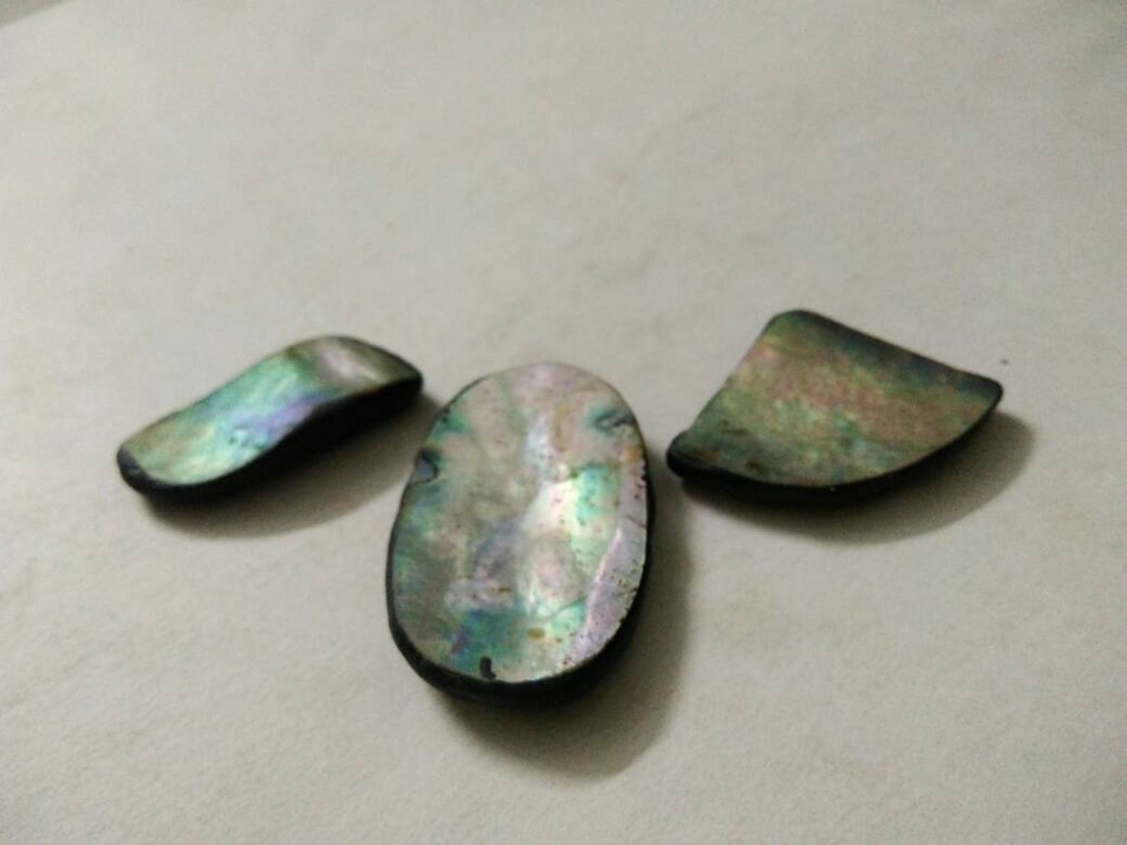 A Abalone Shell 3 Pieces Lot With the Weight of 74.00 Cts. the ...