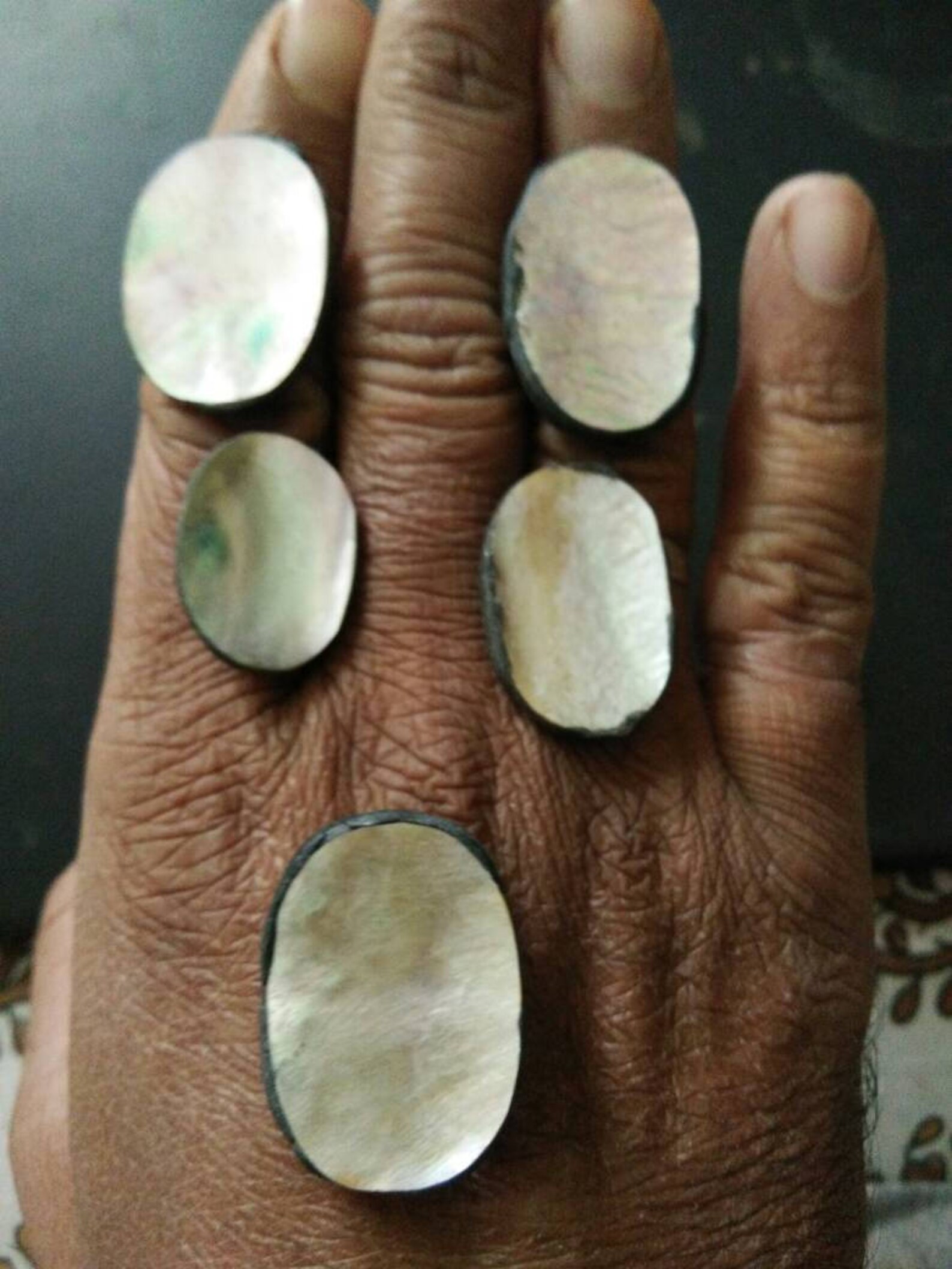 A Abalone Shell 5pieces Lot With the Weight of 98.50 Cts.the Dimension ...