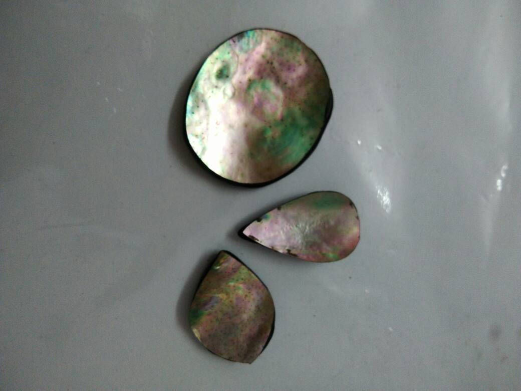 A Abalone Shell 3 Pieces Lot With the Weight of 37.50cts. the Dimension ...
