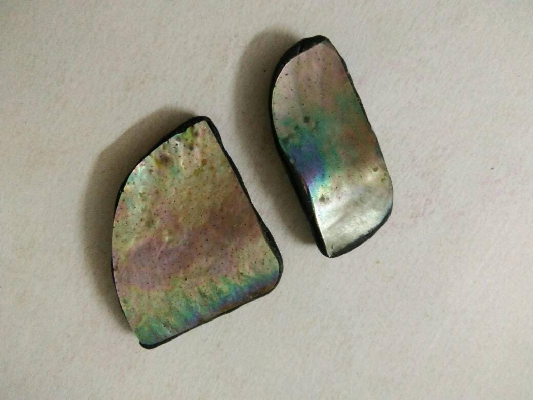 A Abalone Shell 3 Pieces Lot With the Weight of 74.00 Cts. the ...