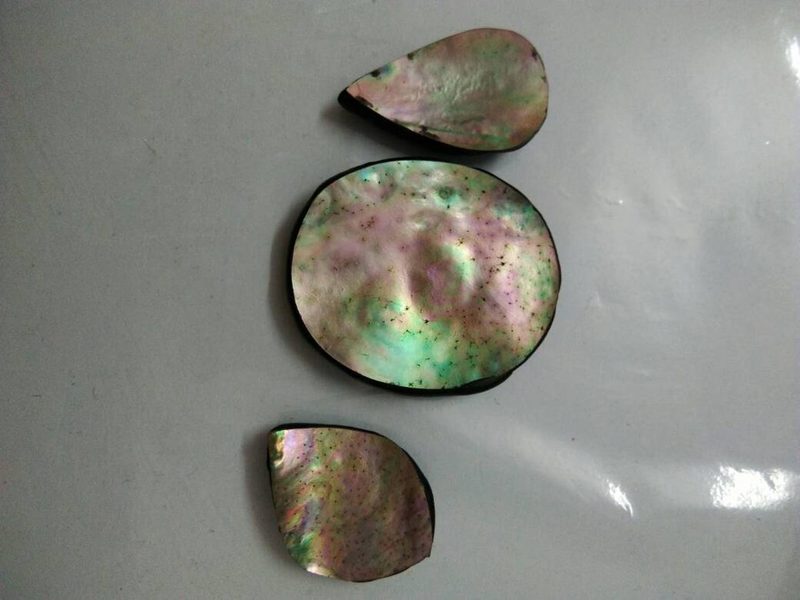 A Abalone Shell 3 Pieces Lot With the Weight of 37.50cts. the Dimension ...