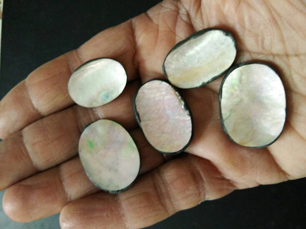 A Abalone Shell 5pieces Lot With the Weight of 98.50 Cts.the Dimension ...