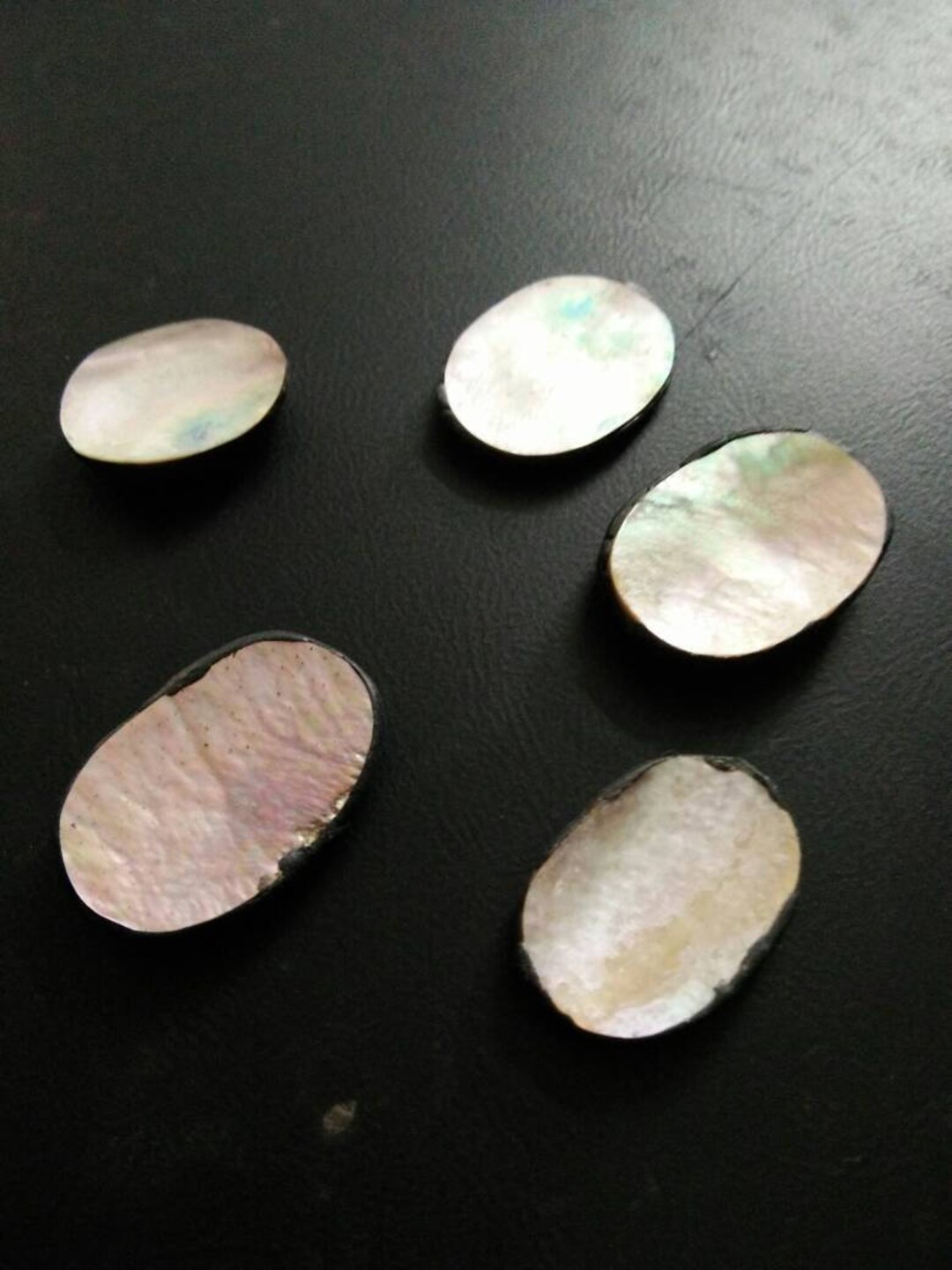 A Abalone Shell 5pieces Lot With the Weight of 98.50 Cts.the Dimension ...