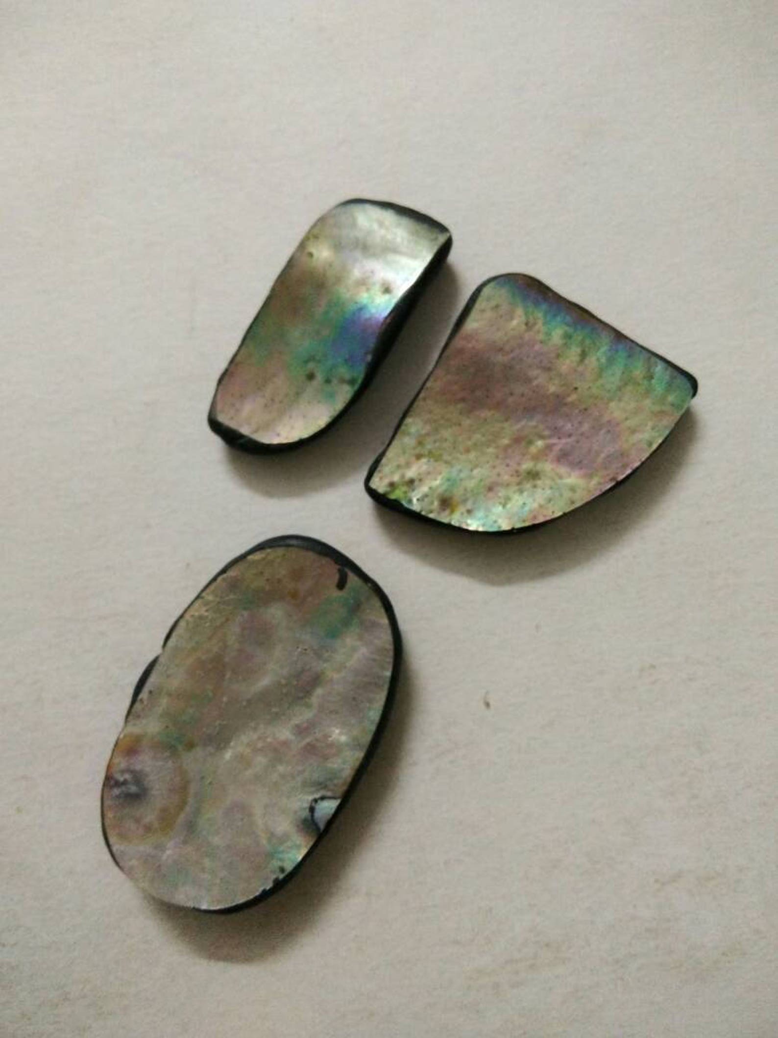 A Abalone Shell 3 Pieces Lot With the Weight of 74.00 Cts. the ...