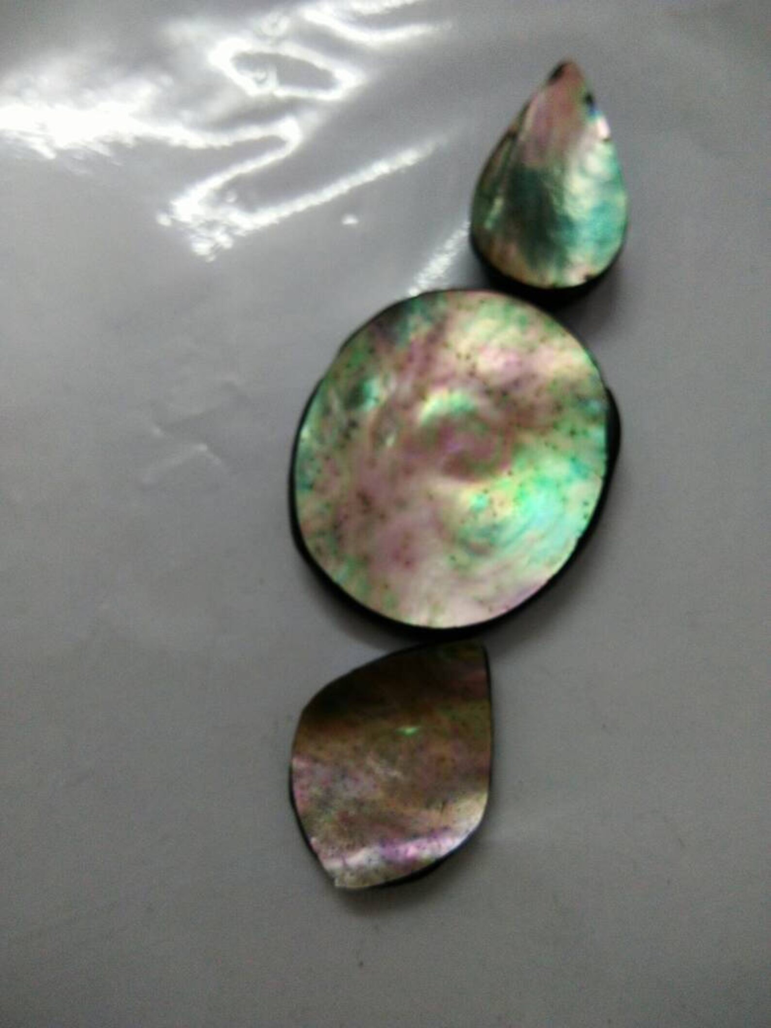 A Abalone Shell 3 Pieces Lot With the Weight of 37.50cts. the Dimension ...