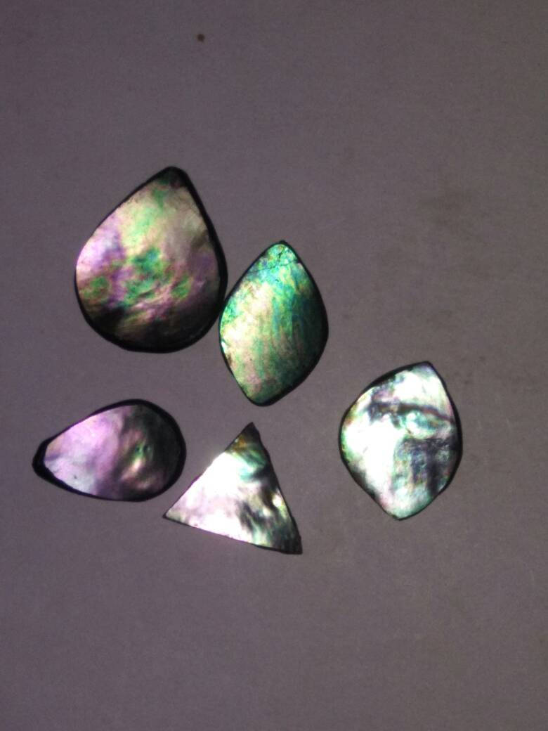 A Abalone Shell 5pieces Lot With the Weight of 73.70 Cts. the Dimension ...