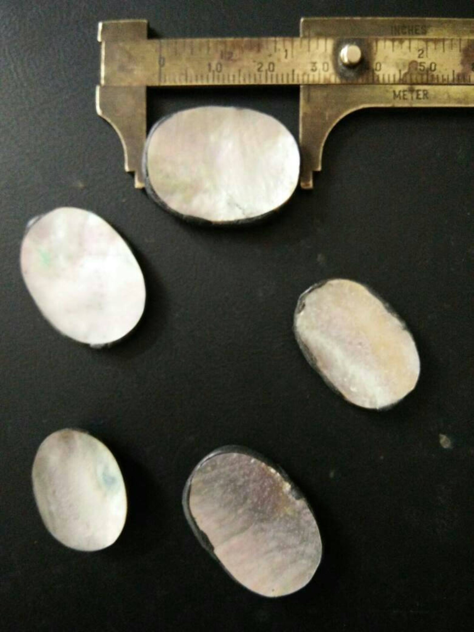 A Abalone Shell 5pieces Lot With the Weight of 98.50 Cts.the Dimension ...