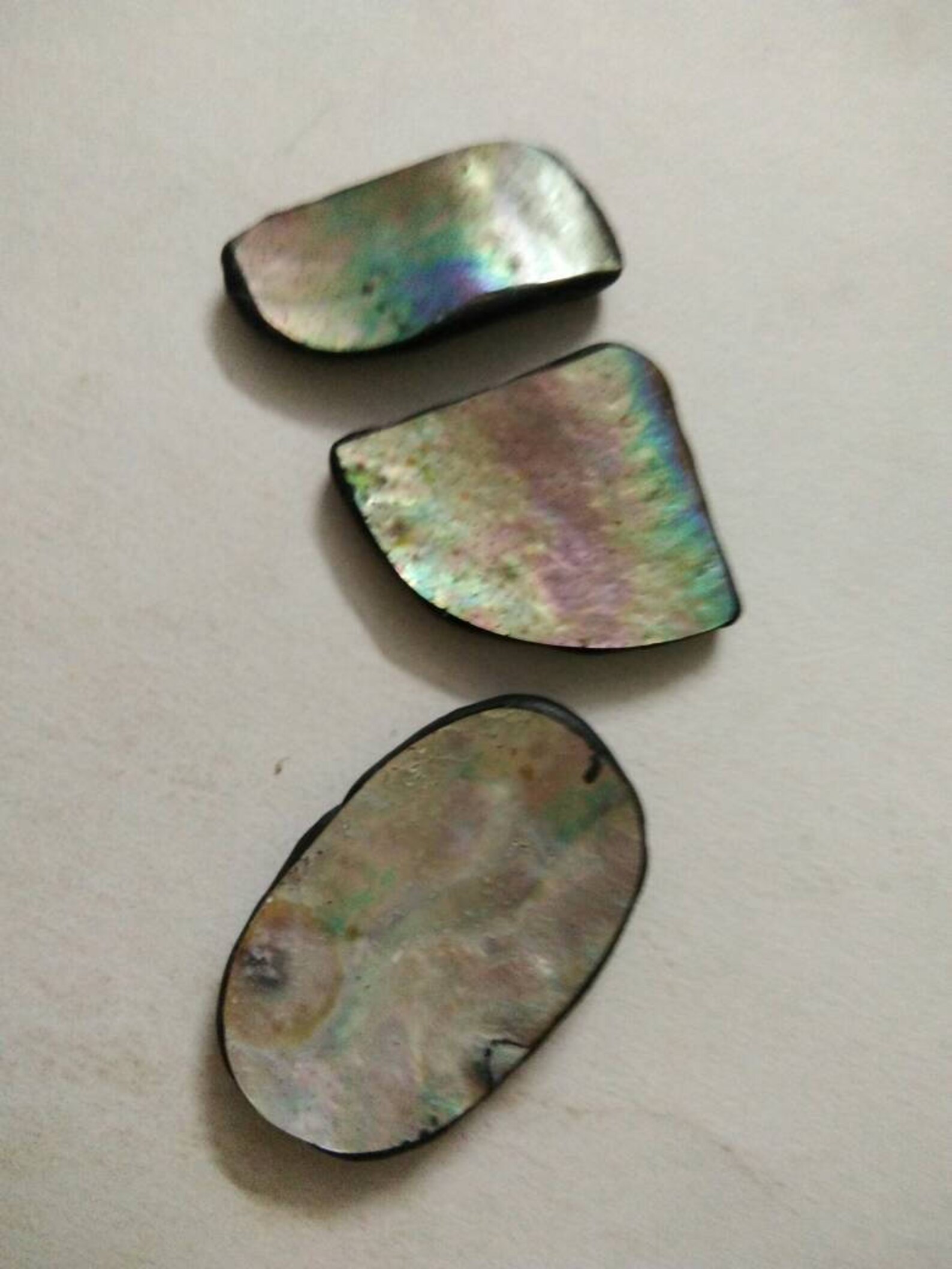 A Abalone Shell 3 Pieces Lot With the Weight of 74.00 Cts. the ...