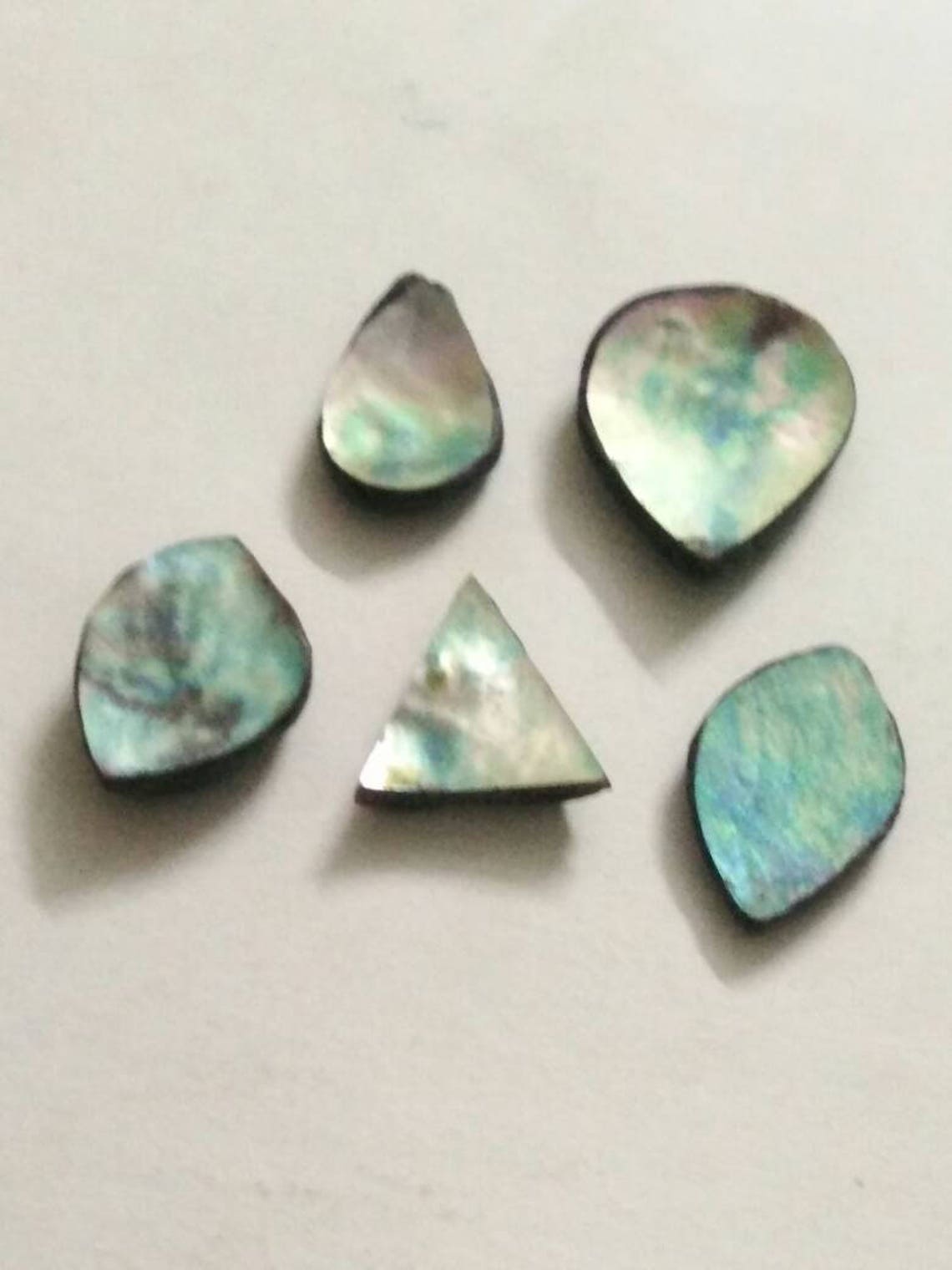 A Abalone Shell 5pieces Lot With the Weight of 73.70 Cts. the Dimension ...