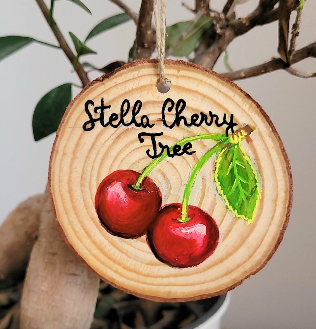 Personalized Hand-painted Tree Labels: Wooden Garden Decor - Etsy