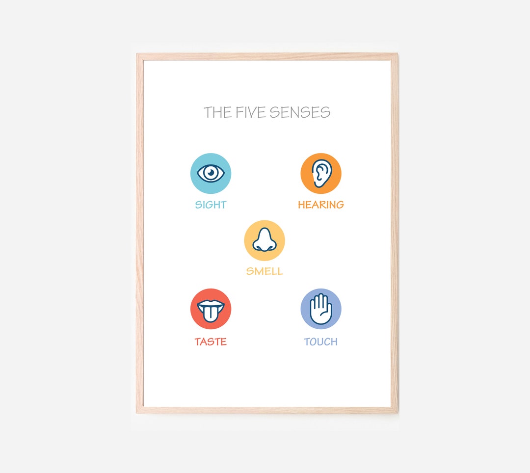 The Five Senses Kids Wall Art Room Decor Educational Poster Bedroom ...