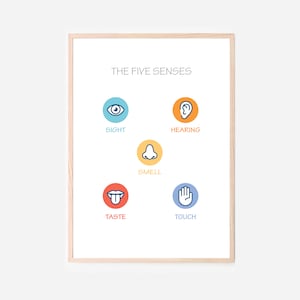 The Five Senses Kids Wall Art Room Decor Educational Poster Bedroom ...