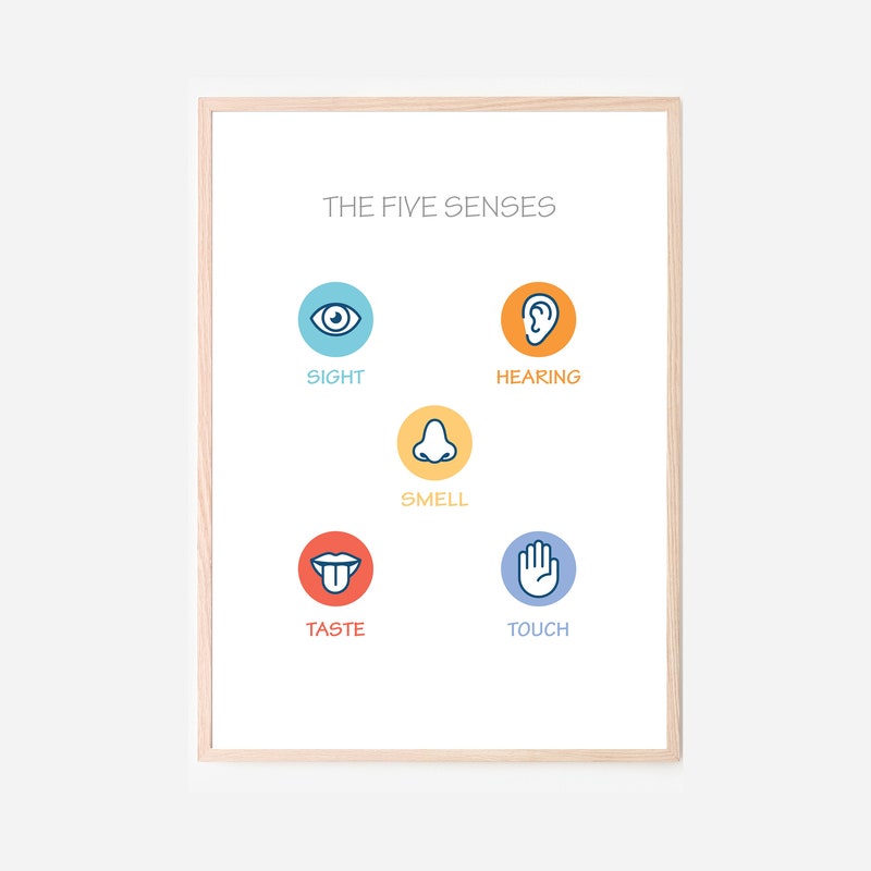 Five Senses Poster - Etsy