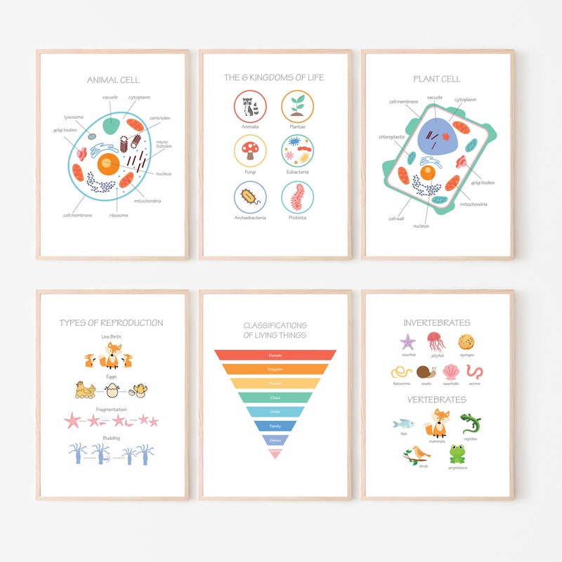 Biology Poster - Etsy