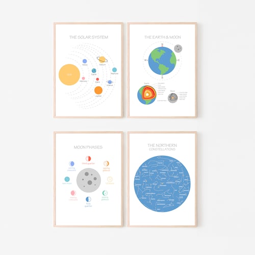 Kids Science Biology Posters Room Decor Educational - Etsy