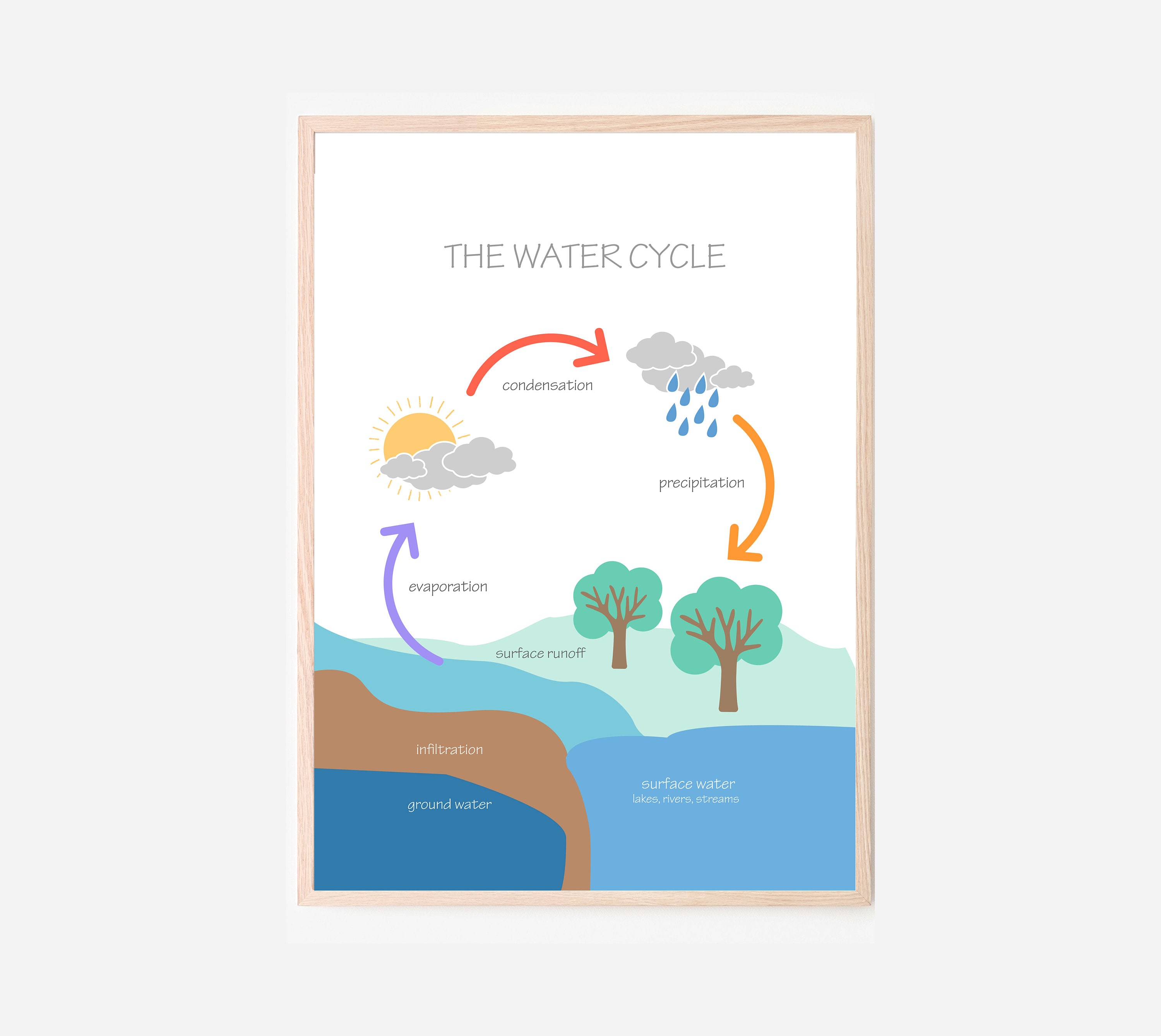 Water Cycle Poster For Kids