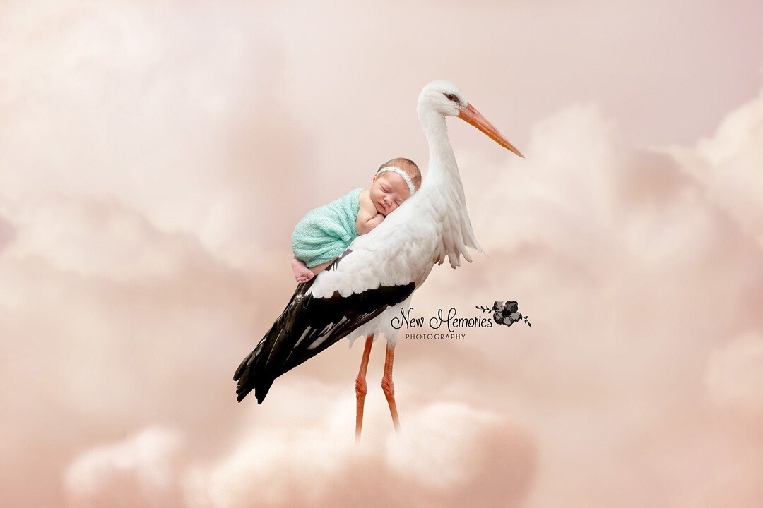 Stork Digital Backdrop, Stork Digital Background, Newborn Digital ...